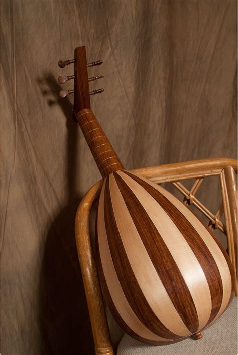 Roosebeck Tenor Lute Kulele Variegated Music2tor