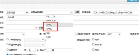 Story 862 【客户列表】所属客服模板 新增删除模板功能 对于重复的设置目前不支持直接删除或修改个名称， 物流管理系统 禅道