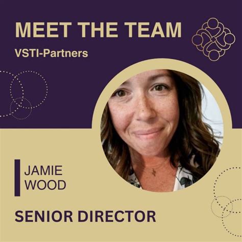 Meettheteam Vsti Partners Llc