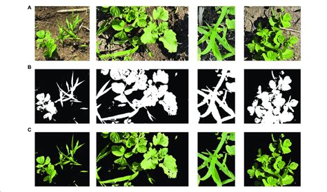 Hyper Green Feature Algorithm A Rgb Original Image B Binary