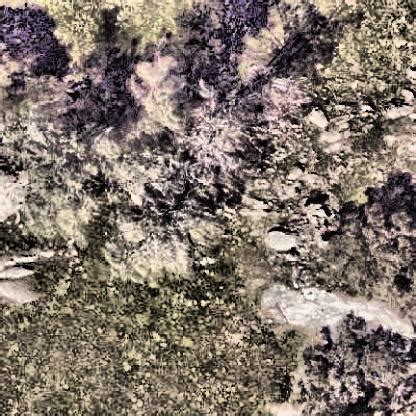 Tree For Detr Val Object Detection Dataset By Pukyong National University