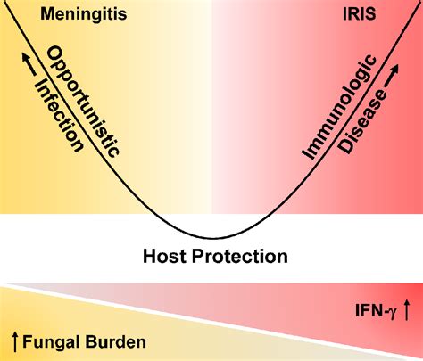 Table 1 From Sterile Cerebrospinal Fluid Culture At Cryptococcal Meningitis Diagnosis Is