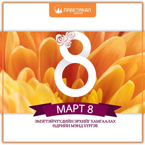 Өргөн монголын Practical Insurance Практикал Даатгал