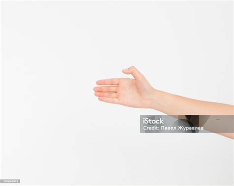 흰색 배경 위에 격리 된 백인 손 제스처로 크기 기호를 표시합니다 아프로 아메리칸 핸드 모의 공간을 복사합니다 템플릿 빈 왼손