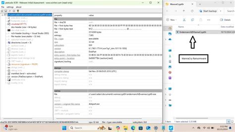 Adarsh V P On Linkedin Malwareanalysis Cybersecurity Staticanalysis Wannacry Infosec