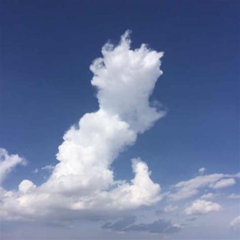 删除跟进成员事件没有回调 开发者社区 企业微信开发者中心