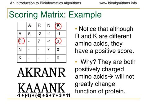 Ppt Sequence Alignment Powerpoint Presentation Free Download Id