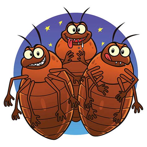 Bed Bugs Cartoon Illustrations Royalty Free Vector Graphics And Clip Art Istock