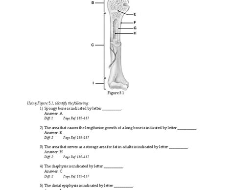 Chapter The Skeletal System Worksheet Printable Calendars AT A GLANCE
