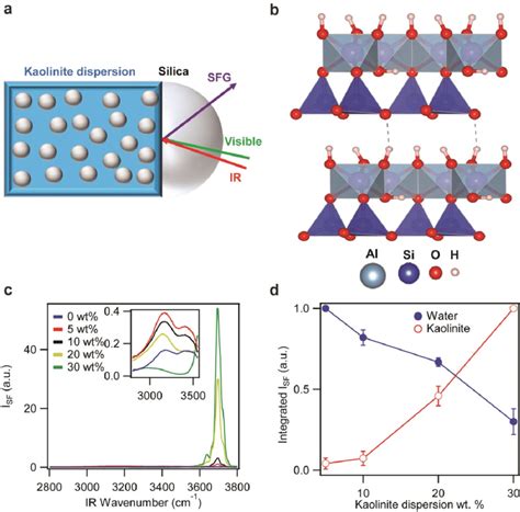 a scheme of sfg experimental set up of the silica aqueous kaolinite