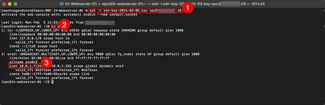 Use Oracle Cloud Infrastructure To Publish A Webserver Accessible From