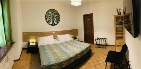 Bb • Tree Candelo Updated Prices 2024