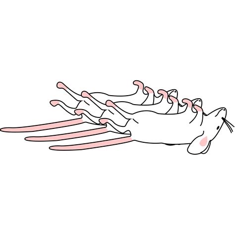 生物医学之家