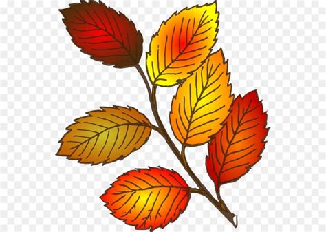 Листочки осенние рисунок 50 фото