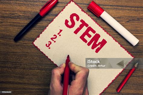 필기 텍스트 줄기입니다 나무 그림자 과학과 연구 3 마커 펜 좋은 작은 피치 아트 종이 사랑 스러운 사랑 아이디어 개발 인간 배아의 파괴를 의미 하는 개념 Stem 주제에