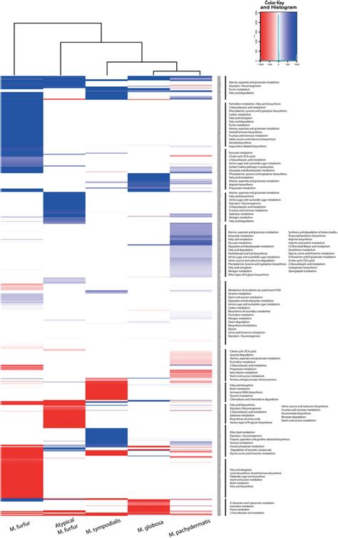 CLC Genomics Workbench Rar Indunvalen Lichniribah