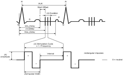 Schematic Representation Of Stimulation Procedere Train Of Biphasic