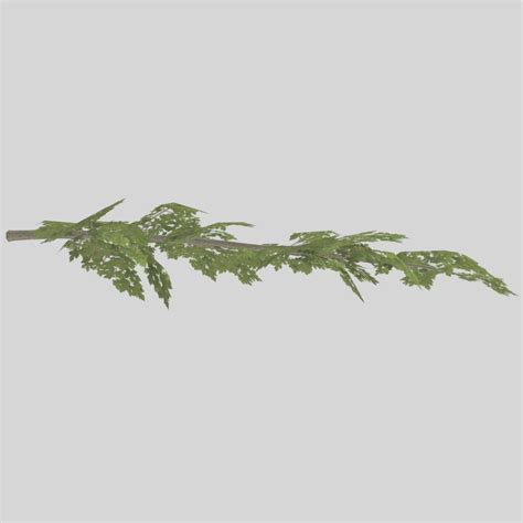 3d Rigged Tree Branch Types Turbosquid 1397942