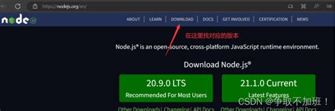 安装node js指定任意版本详解