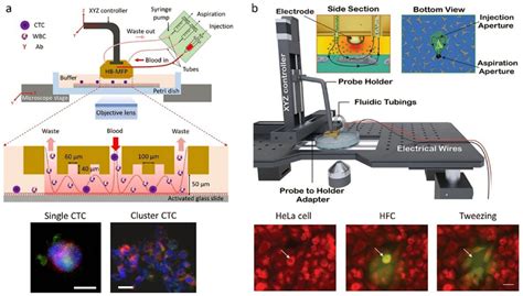 lab on a tip devices non contact microfluidic probe technologies for