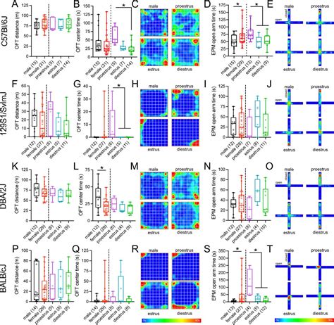 Avoidance Behavior Ppt Avoidance Powerpoint Presentation Id 181686