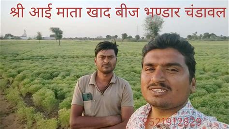 जीरा के किसान की समस्या का समाधान Youtube