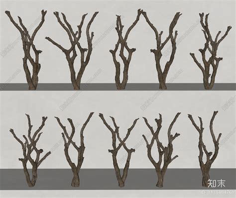 骨架树su模型下载【id 1138404761】 知末su模型网