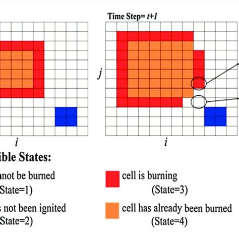 simulations of the spread of a forest fire in a forest constructed by