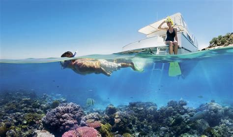 Survey Two Thirds Of Great Barrier Reef Tourists Want To ‘see It