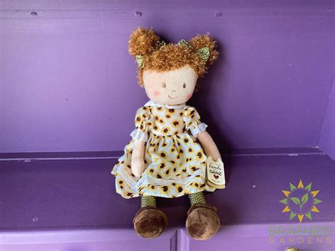 Saffron Sunflower Rag Doll Braeheid Gardens Ltd