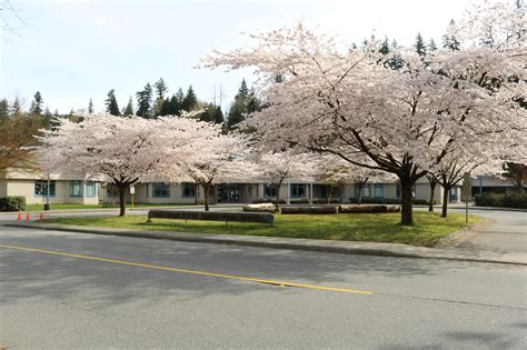 Home École Coquitlam River Elementary School