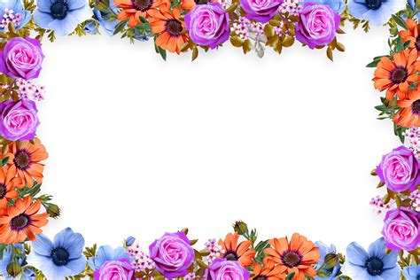 Floral Frame Background Graphic By Fstock · Creative Fabrica