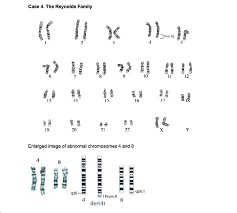 Solved Please Help Me With Karyotype Questions Enlarged