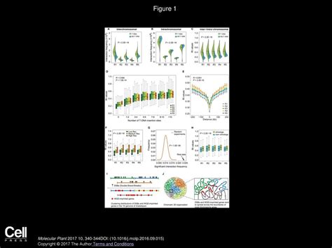 Volume 10 Issue 2 Pages February 2017 Ppt Download