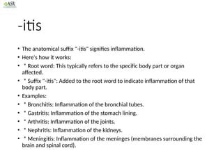 Anatomical Suffixes Itis Logy Pptx