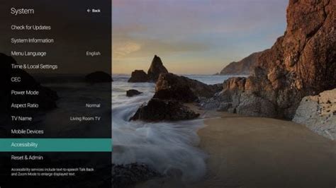 VIZIO TV Accessibility Settings Talk Back Closed Captions And Speech Rate