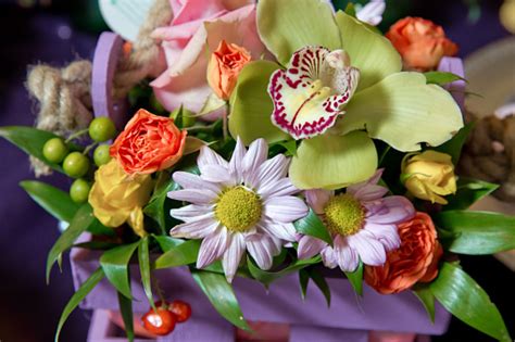 분홍색 Phalaenopsis 난초 또는 나 방 난초 꽃과 분기 열 대 정원에서 꽃 봉 오리를 피는 태국 Farmorchid 배경 Blurredfor 엽서에서 성장 하는