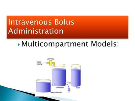 Non Compartment Model Ppt