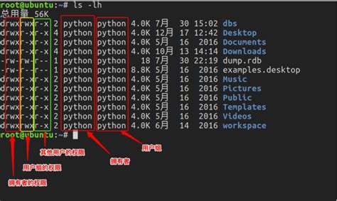 linux中ls l生成结果各行含义 ls lha drwxrwxrwx含义 csdn博客