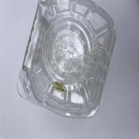 Yolov5 Garbage Detection Object Detection Dataset V1 2023 09 22 2