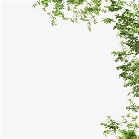 그린 나뭇잎 나무 일러스트 Png 녹색 잎이 이미지 벡터 Psd 파일 Pngtree Fondos De