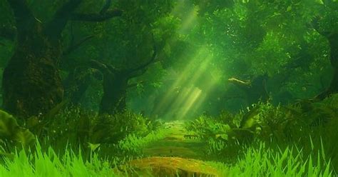 Forest Album On Imgur