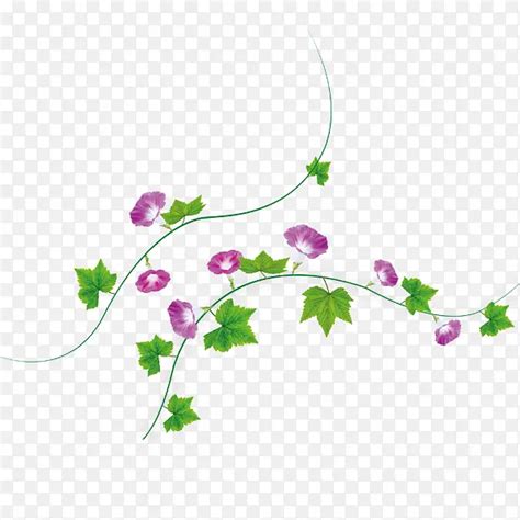 紫色喇叭花PNG图片素材下载 图片编号10316507 PNG素材网