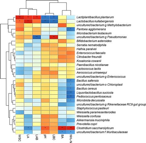 Correlation Analysis Between Bacterial Community And Terminal Download Scientific Diagram