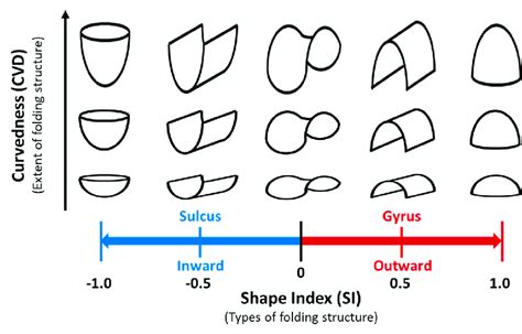 An Illustrated Diagram Of The Shape Index Si And Curvedness Cvd