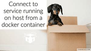 How To Connect To A Running Mysql Service On Host From A Docker Container On Same Host GyanBlog