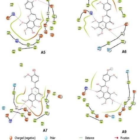 Chemical Structures Of Natural And Synthetic Compounds Download Scientific Diagram