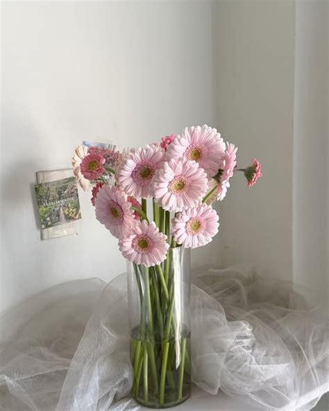 오산꽃집 블루밍 앤 𝔹𝕝𝕠𝕠𝕞𝕚𝕟𝕘 𝔸𝕟𝕟𝕖 블루밍앤 꽃모닝 새꽃과 함께 오픈완료 💕 𝑩𝒍𝒐𝒐𝒎𝒊𝒏𝒈 𝑨𝒏𝒏𝒆 ∘˚˳°∘° 1인샵 운영 예약제 우선