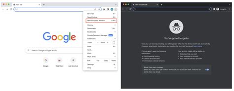 Private Browsing — Surf In Privacy Using Incognito Mode Avira
