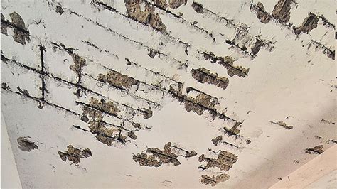 Ap News జగనన్నా ఇది మీ ఇంటి దగ్గర బడే General